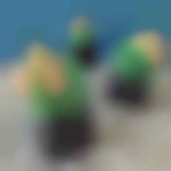 Rabbit-Themed Pops: 'Down the Bunny Hole' Treats are Cute and Adorable ...