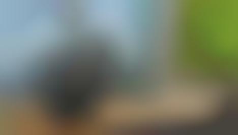 Group Meeting Cameras: The Logitech ConferenceCam Captures Everything