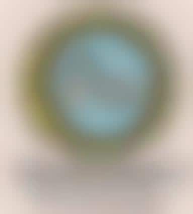 Error-Making Excellence Emblems : awkward merit badges