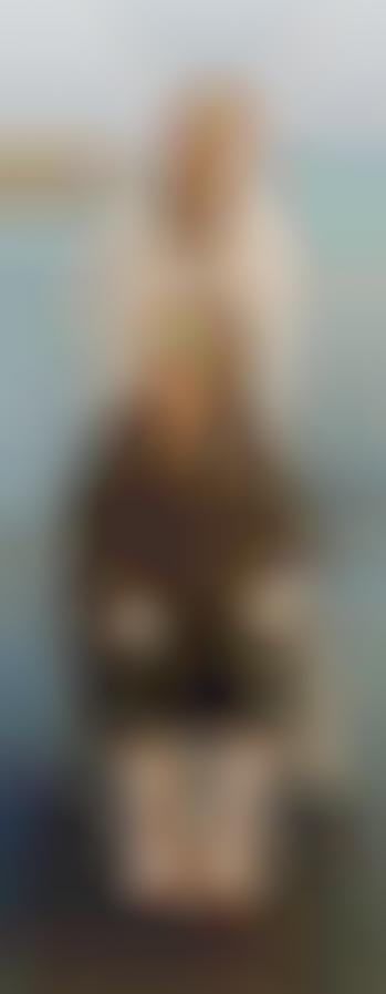 Ann Oliver, Founder of XENI Collection (INTERVIEW) : couture fashion ...