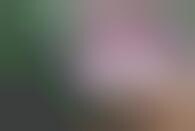 Green Technology Breakthrough: Inkjet Printed Solar Cells