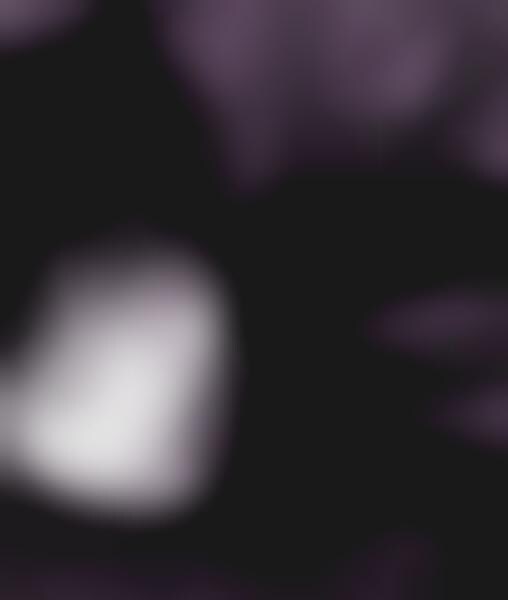 Constellation-Inspired Illustrations : Chris Koehler