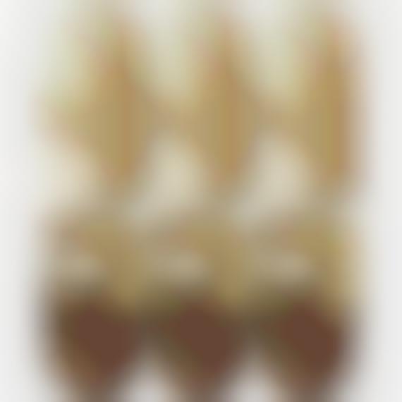 Rapper-Rendered Skate Decks : pretty toney hawk deck