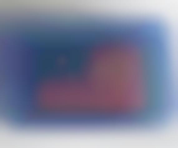 Loyalist Soaps : patriotic american flag soap