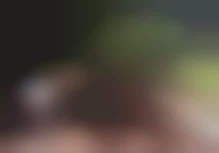 Campus Cultivated Farms : ucla student food co op