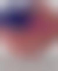 Top Secret Online Encyclopedia: Google Intellipedia