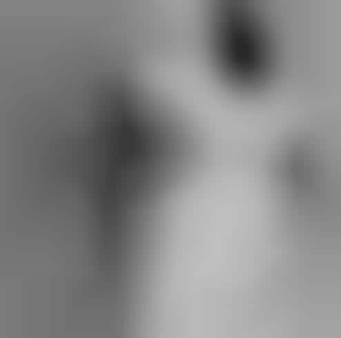 Mutant Nature Portraits (UPDATE) : Alexandra Bellissimo Simulations