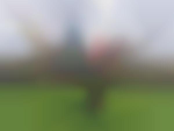 Pigmented Topiary Installations : Color Pencil Tree