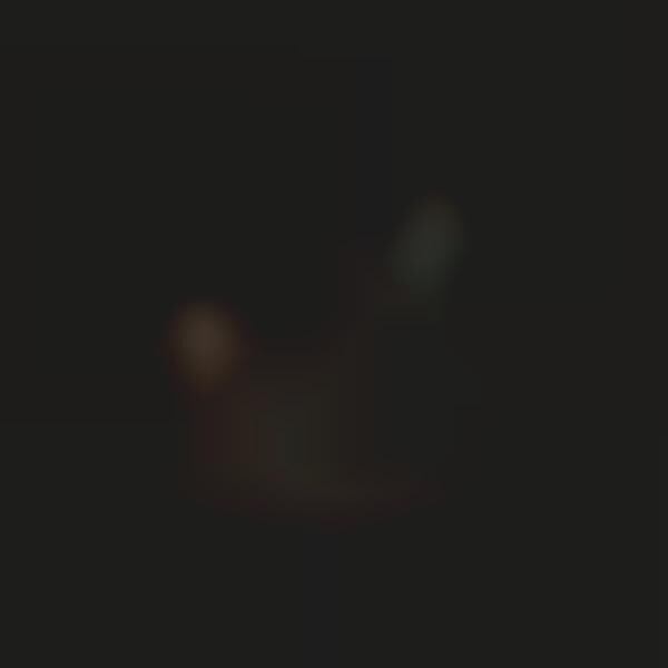 Gender-Fighting Editorials : Bambi Magazine Issue 11