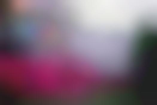 Interactive Toy Sculptures : Bloom art installation