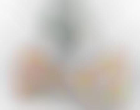 Cleverly Concealed Trash Carriers : Pet Goldfish Garbage Bags