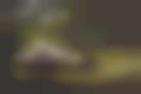 Lonely Object Photos : Lisa Sorgini An Isolated Object