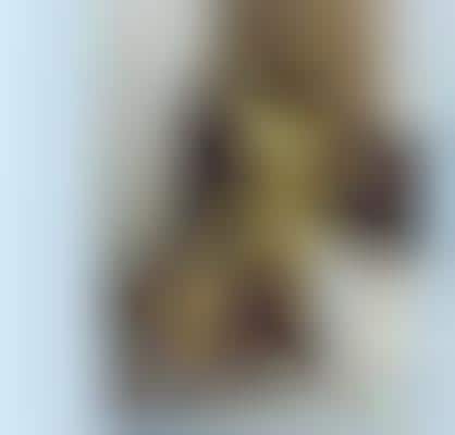 Wearable Paper: Jennifer Collier's Disposable Paper Fashion