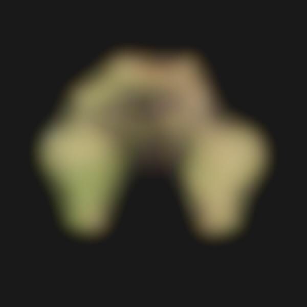 Humanistic Geography Artworks : Shannon Rankin Anatomy Series