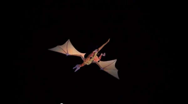 Real-Life Fire-Breathing Dragons : Flying Dragon