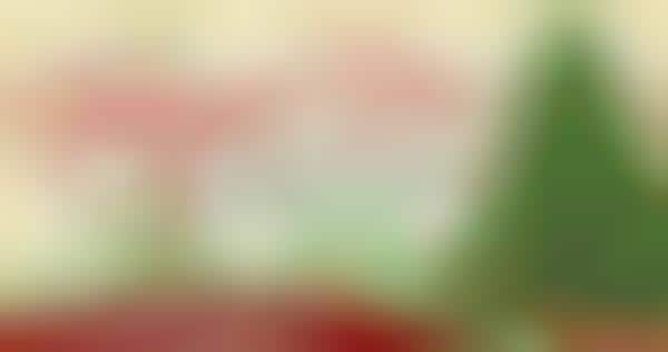 Historical Holiday Fir Graphics : Christmas Tree Infographic