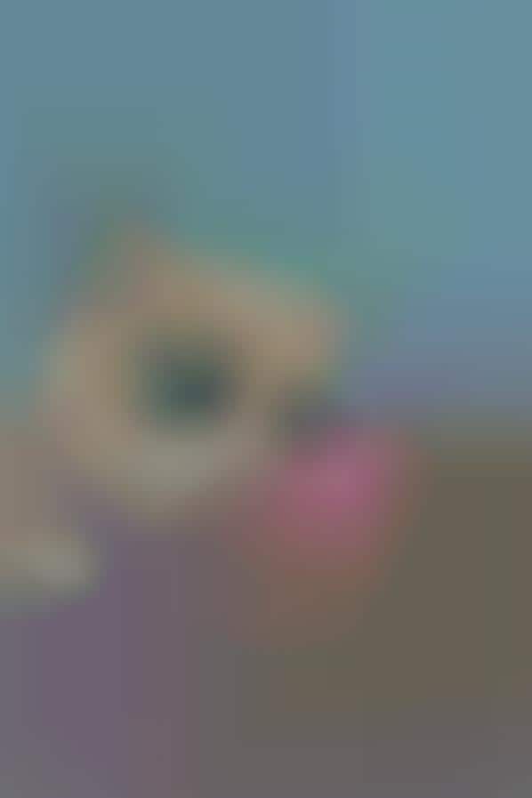 Masterful Smartphone Paintings : Igor Cheban iPhone Paintings