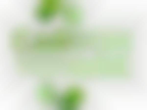 CO2 Reduction Rides : Carbon Voyage