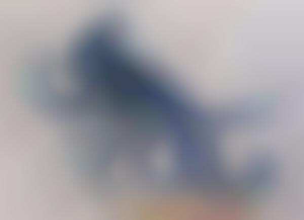 Bursting Animal Installations : Tasha Lewis