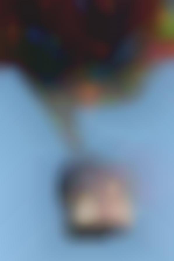 Movie Replica Flying Houses : Flying Houses