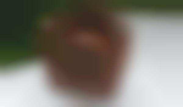 Edible Chocolate Cameras : Chocolate Cameras