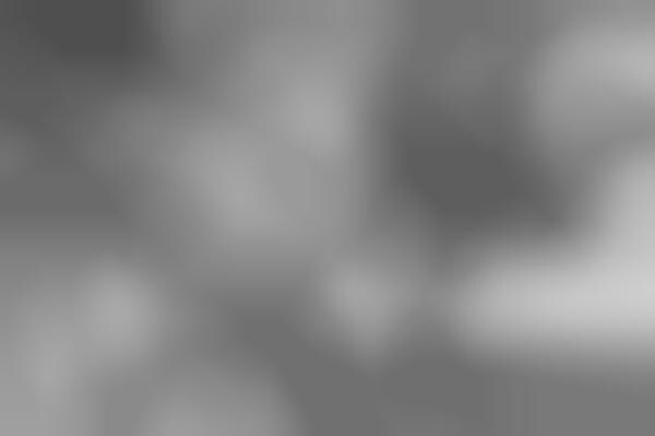 Sleep-Induced Drawings : Lee Hadwin