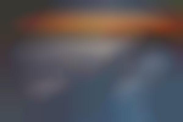 Frozen Tree Photography : Timothy Corbin