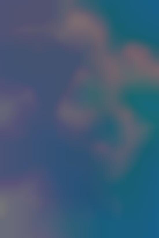 Asiatic Floral Portraits : Sayaka Maruyama