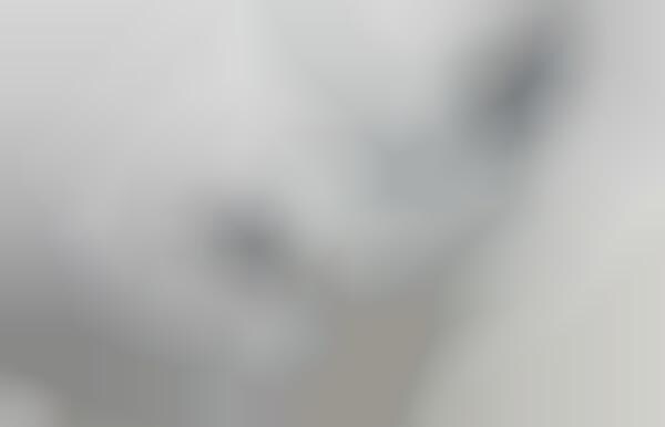 Realistic Papercraft Statues : Paper Art Designs