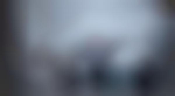 Viral Follow-Up Internet Videos : m/v music video