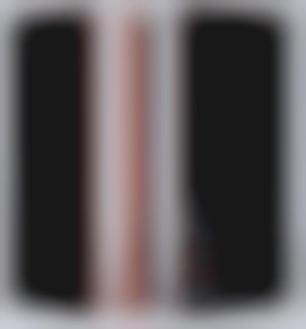 Mod Bowing Mobiles : VEGA Phone