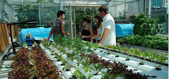 26 Urban Farming Projects