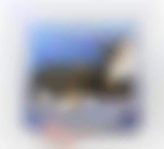 Desktop Cat Cribs : iMac Pet Bed