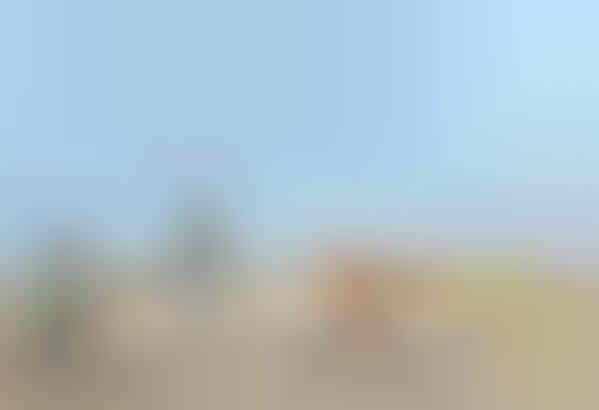 Throwable Shuttlecock Cameras: Flee Takes Pics When Thrown