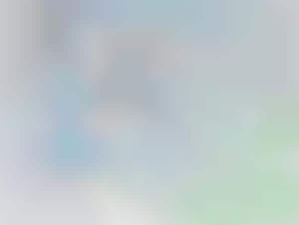 Secret National Security Infographics : NSA PRISM