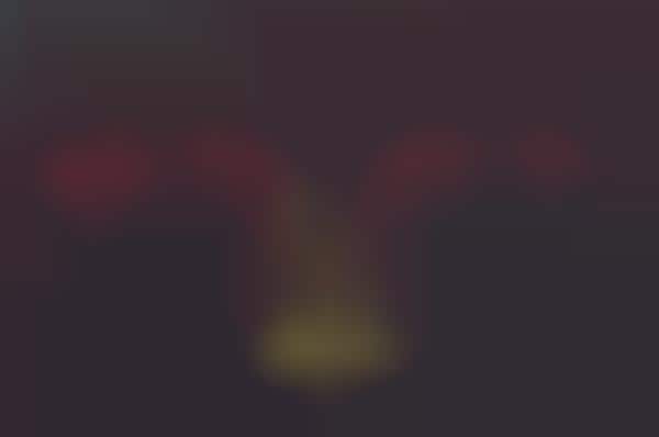 Sacreligious Pork-Coated Bullets : Jihawg Ammo