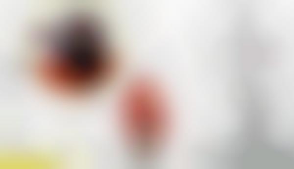 Rapper Human Rights Protests : force-feeding