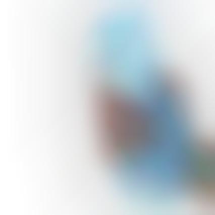 Scrunchable Water Bottles : bubi bottle