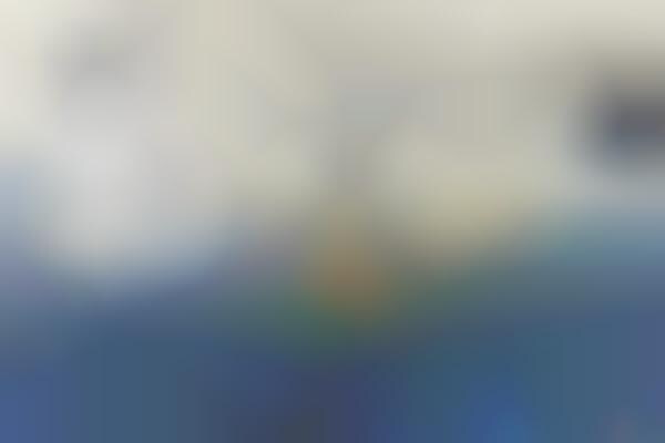 Realistic Animal Awareness Ads : Conservation international