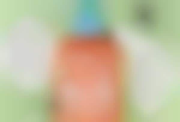 Revealing Repellent Infographics : bug spray chemicals