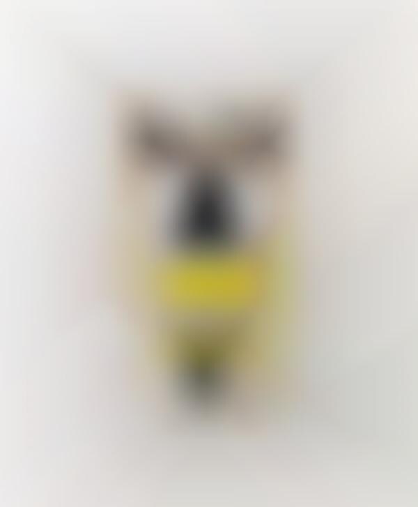 Cabinet-Like Workstations : Forming the Border Desk