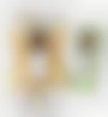 Disposable Cell Phones: Bic in Partnership with Orange