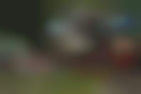 Top 9 Redneck Innovations (MEGA GALLERY):