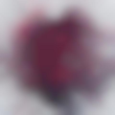 Shattered Floral Photography : Exploding Flower Petals