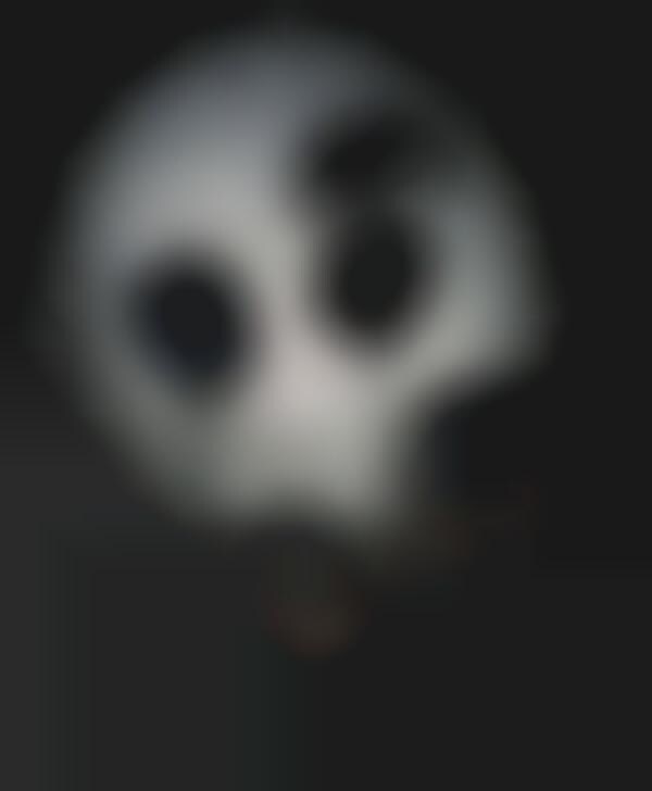 Eerie Shadowed Remains Artwork : Roadkill Art Pieces