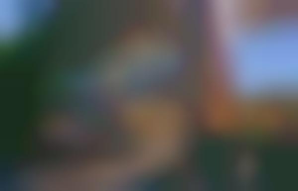 Massive Entertainment-Focused Homes : 7 sable ridge court