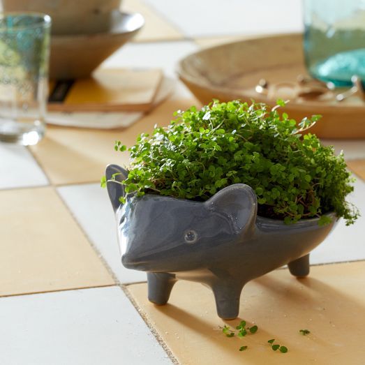 Hedgehog Home Garden Accessories : Ceramic Animal Planter