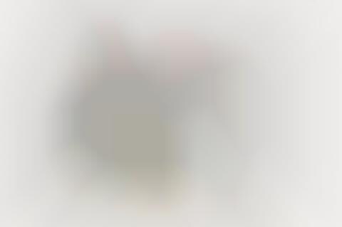 Luxurious Topographical Lamps : Mountain Light