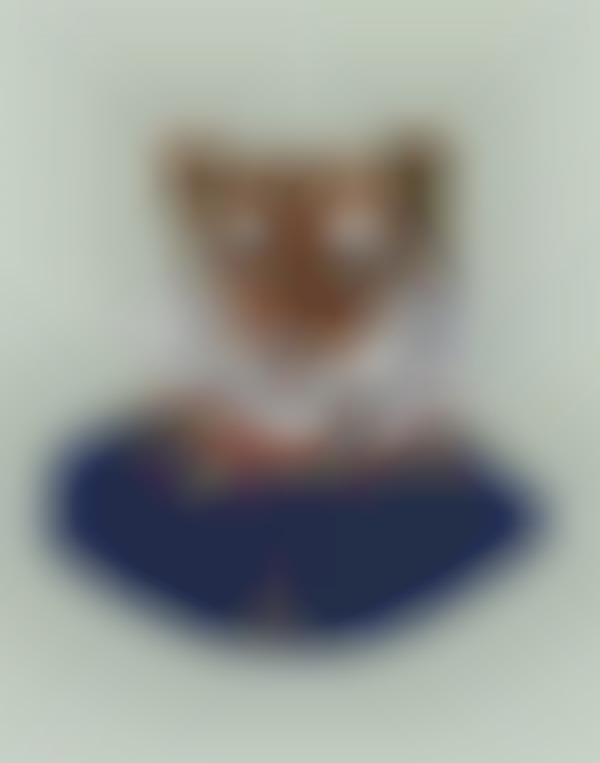 Distinguished Animal Illustrations (UPDATE) : Ryan Berkley