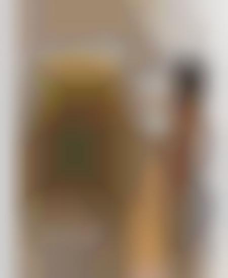 Sub-Zero Refrigerators: NASA Air Filteration Technology